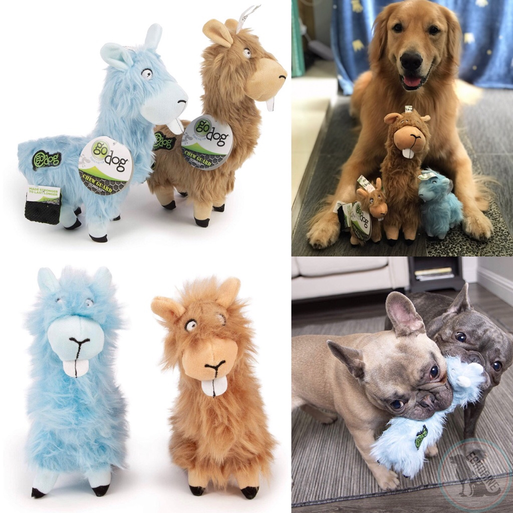 SMALL & LARGE goDog Buck Tooth Llama with Chew Guard Technology Plush ...