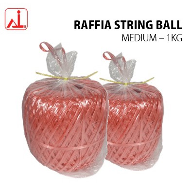 Medium Plastic Raffia String Ball - 1kg | Shopee Singapore