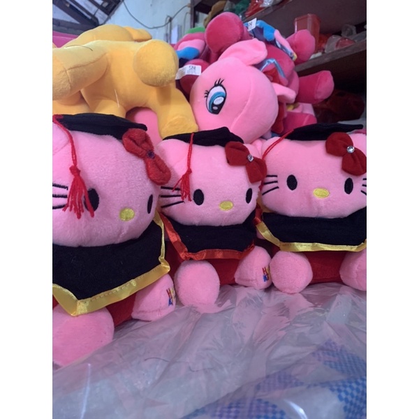 Hello kitty Graduation/Graduation Doll/Graduation Doll bucket Doll ...