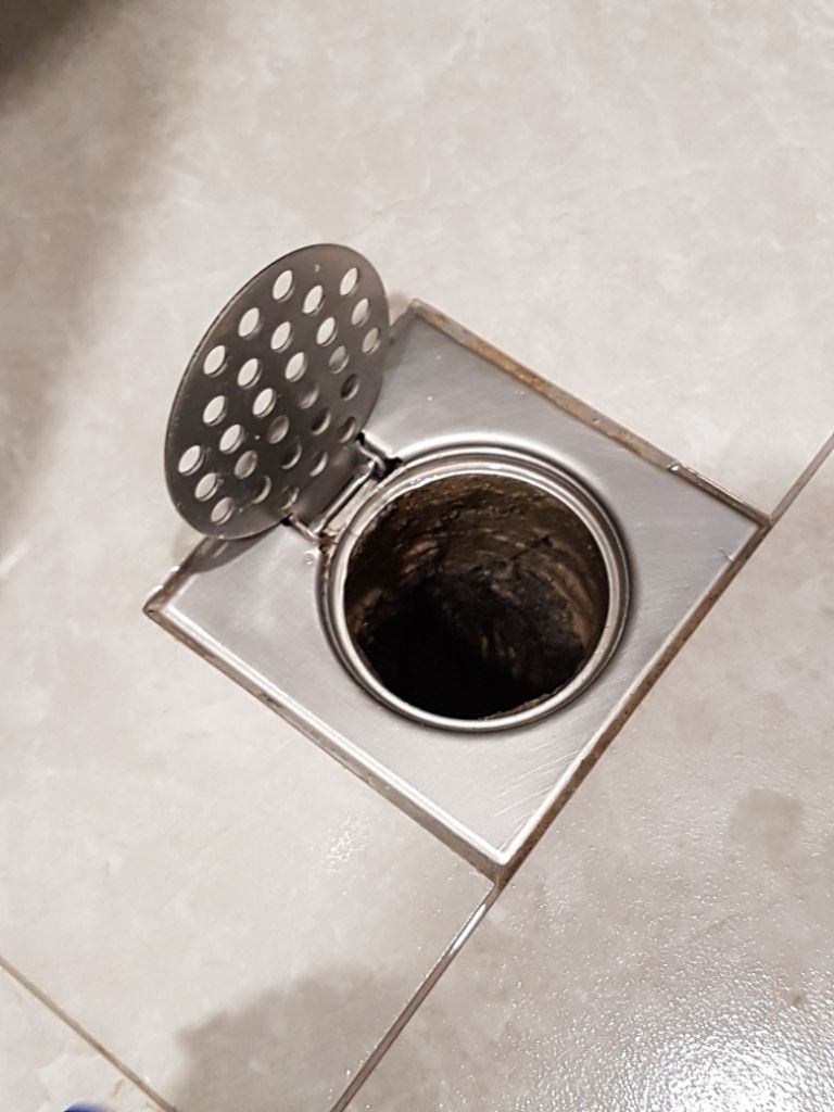 Insects and Odour Prevention Drain/Floor Trap for 4.8-5.4cm/5.5-6.2cm ...