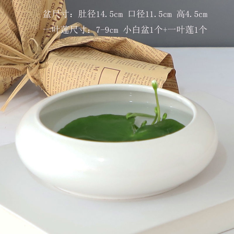 Large-caliber ceramic flowerpot, large water tank, lotus pot, lily bowl ...