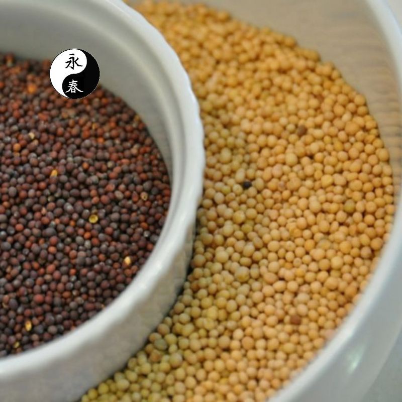 Mustard Seed White Mustard Seed/Black Mustard Seed 20g (Biji Sawi Putih ...