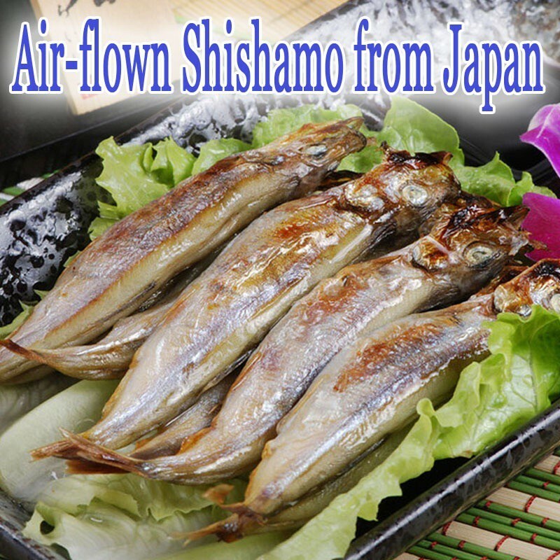 [YOCORN] [BUY 1 FREE 1] Frozen Shishamo/Capelin (8PCS/150G/PKT) 特大多春魚 ...