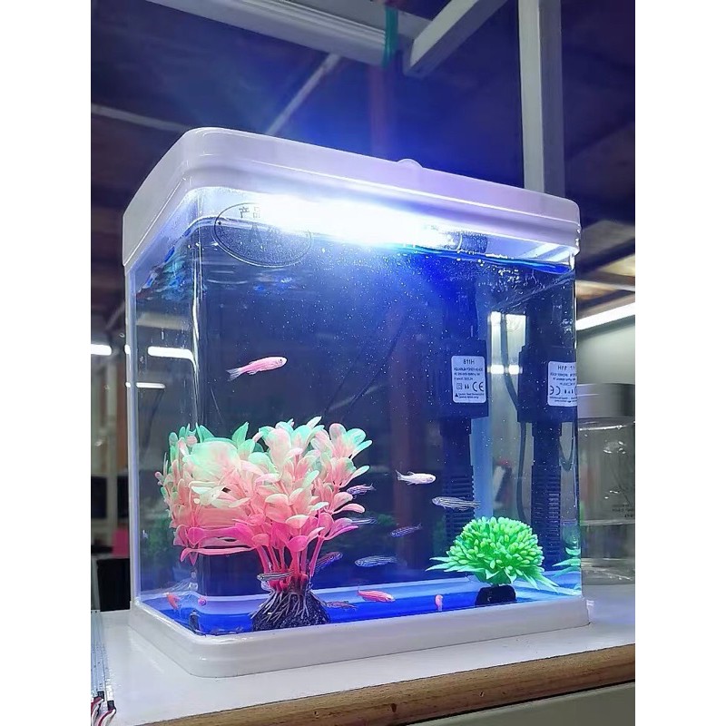 SOBO mini fish aquarium tank - 24 x 16.5 x 28 cm - 9L | Shopee Singapore
