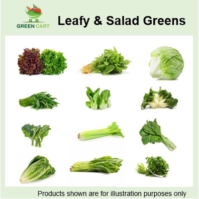 [Greencartsg] Fresh Vegetables – Leafy and Salad Greens | Shopee Singapore