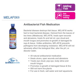 API MELAFIX ANTIBACTERIAL FISH MEDICATION 118ml 237ml 473ml | Shopee ...