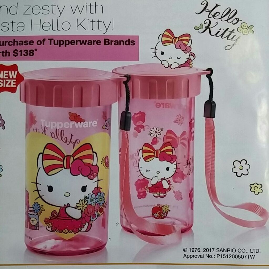 Hello kitty flask (Tupperware) | Shopee Singapore
