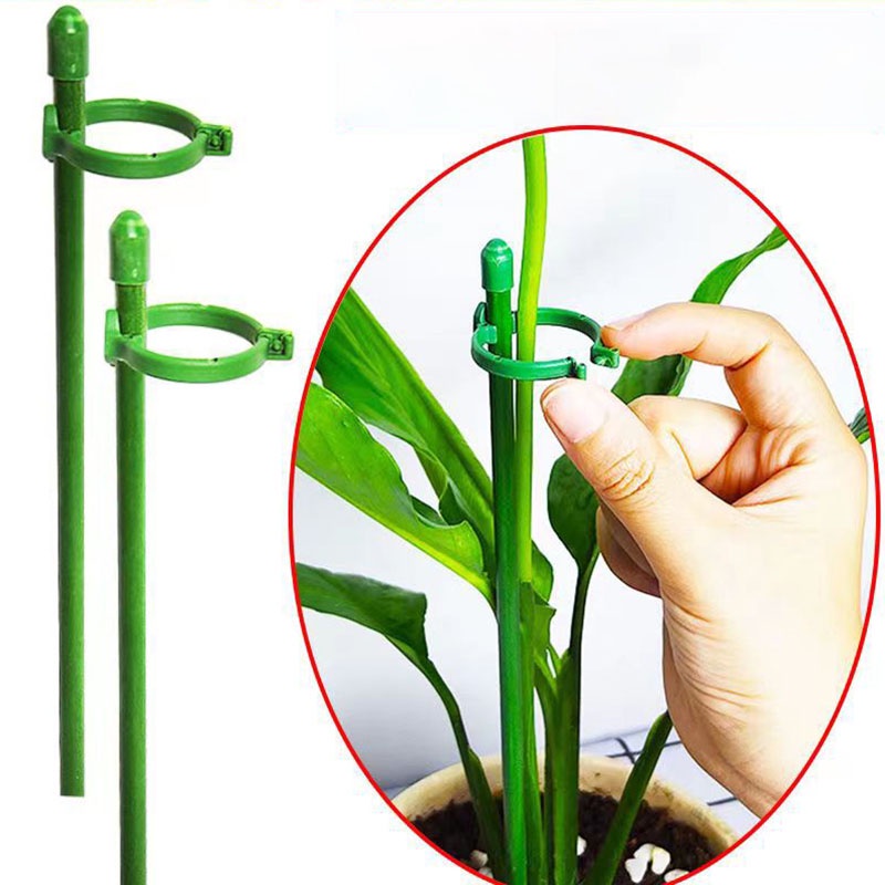 5/10pcs plant Flower Potted Support stand Holder Stake Stander Fixing ...