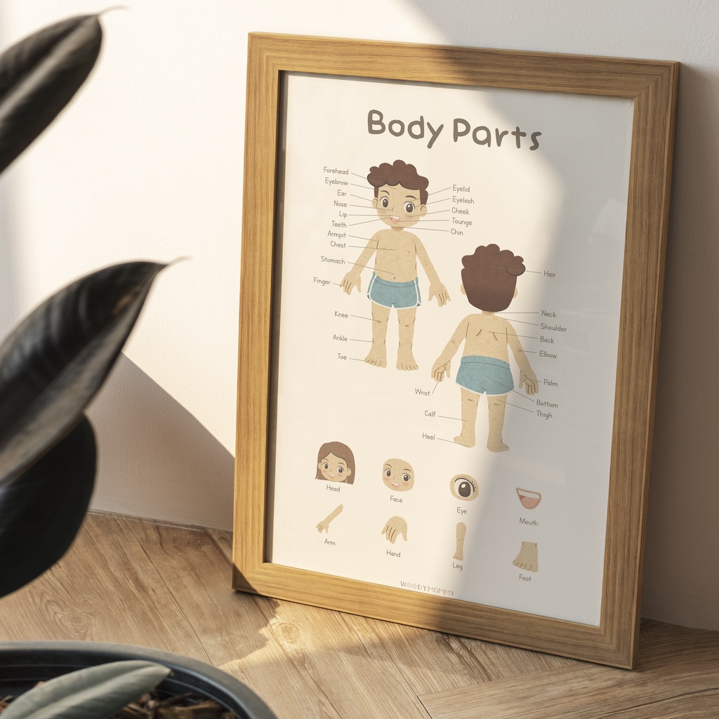 Educational Poster for Toddlers Body Parts - Body Parts Preschooler ...