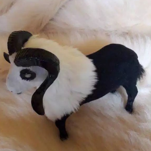 Miniature Garut Sheep / Sheep Adu Decoration Rack Collection / Sheep ...