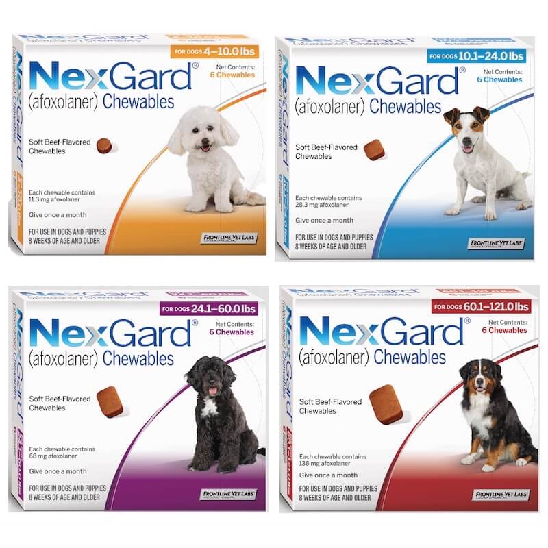 [6 Packs/Authentic] Nexgard Chewable Tablets For Dogs | Shopee Singapore
