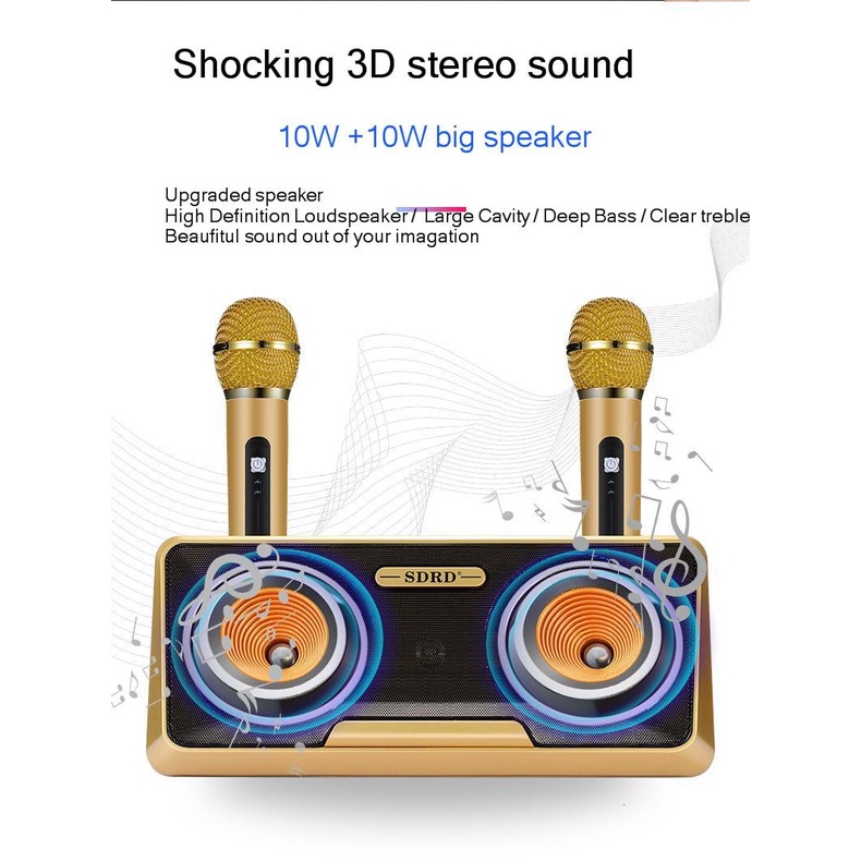SDRD SD-301 Wireless Bluetooth Dual Microphone Household Family KTV ...