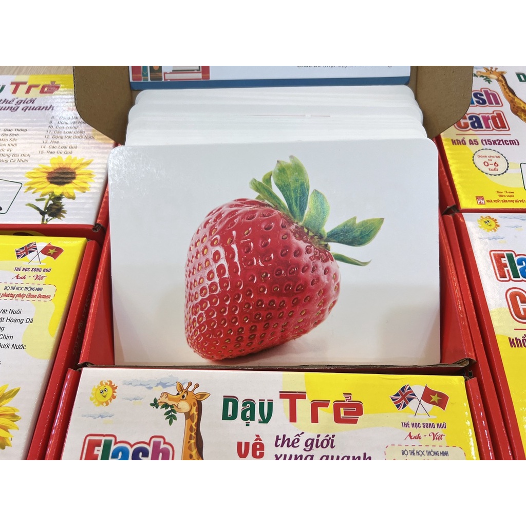 Large A5 15x 21cm Smart Learning card Set Teaches Children TO Learn ...