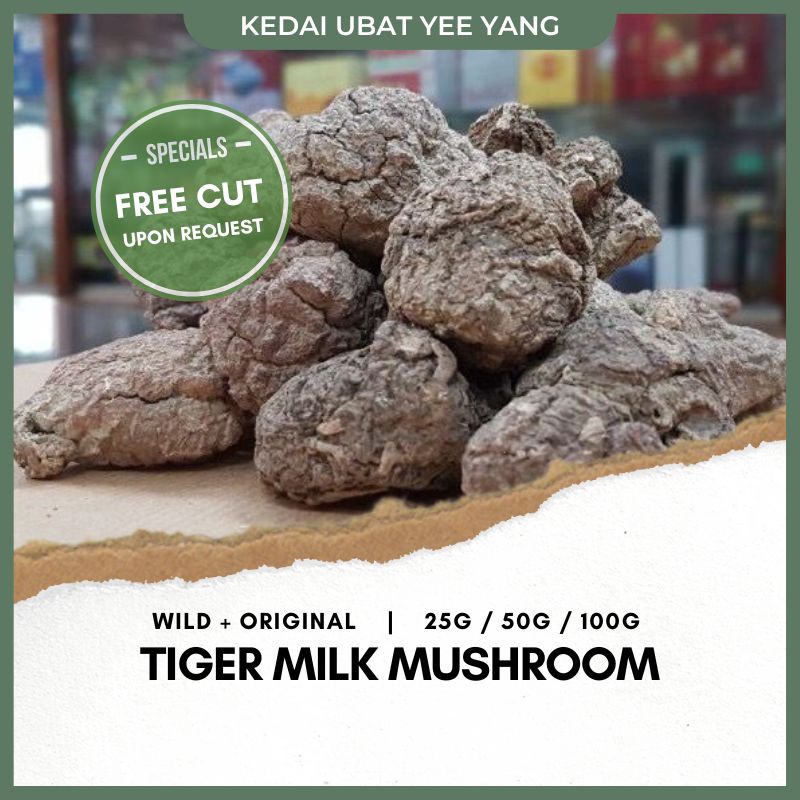 Cendawan Susu Harimau; Tiger Milk Mushroom; 老虎芝/虎奶菇/虎乳芝 (raw / slices ...