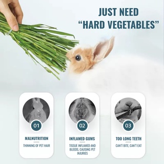 YEE Timothy Hay, Dry Grass For Bunny, Chinchilla, Guinea Pig, Rabbit ...