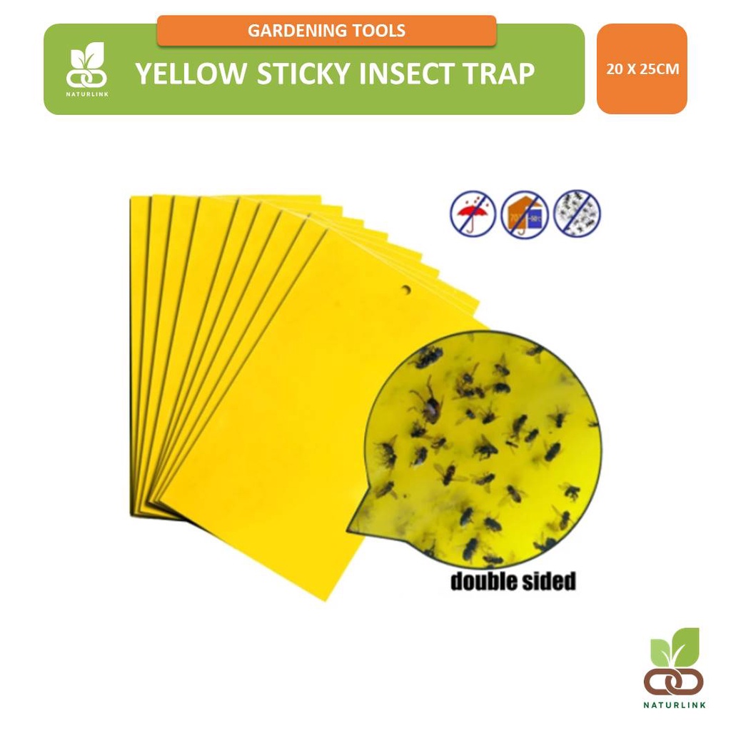 Sticky Insects Trap (20 x 25 cm) | Double Sided Waterproof | Gardening ...