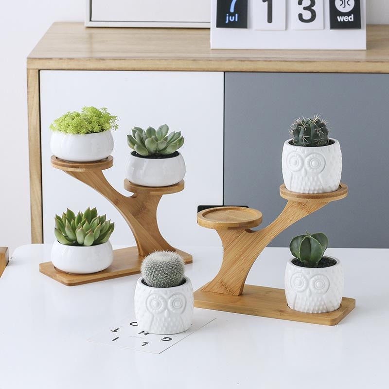 Desktop Flower Stand Mini Bamboo Frame Succulent Flower Pot Creative ...