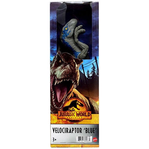 Mattel - Jurassic World Dominion Action Figure - VELOCIRAPTOR 'BLUE ...