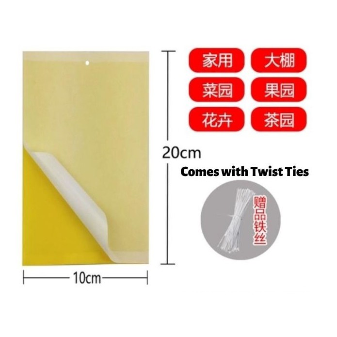 Yellow Blue Pest Sticky Sticker Insects Trap Gardening Plants Flies ...