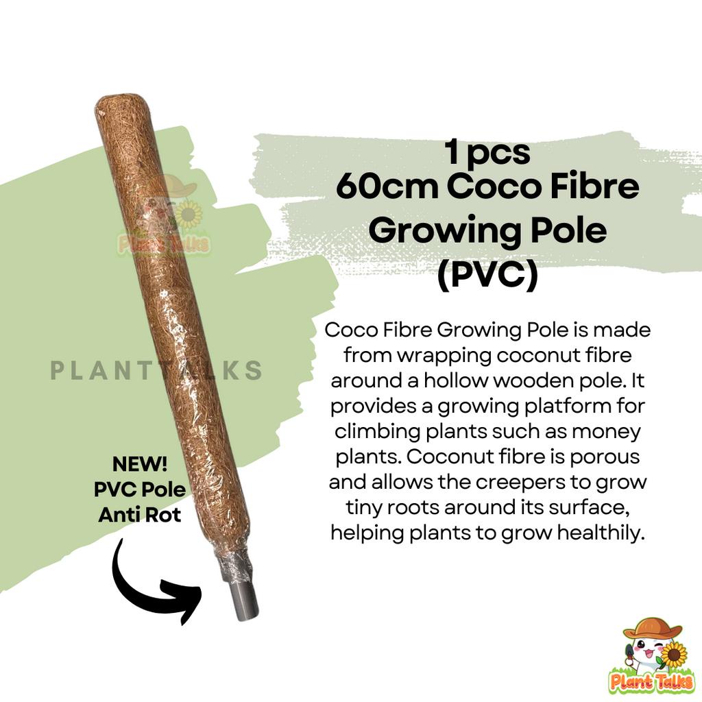 Plant Talks Coco Coir Grow Pole Honeycomb Moss Climbing Pole Plant Support Coco Pole for ...