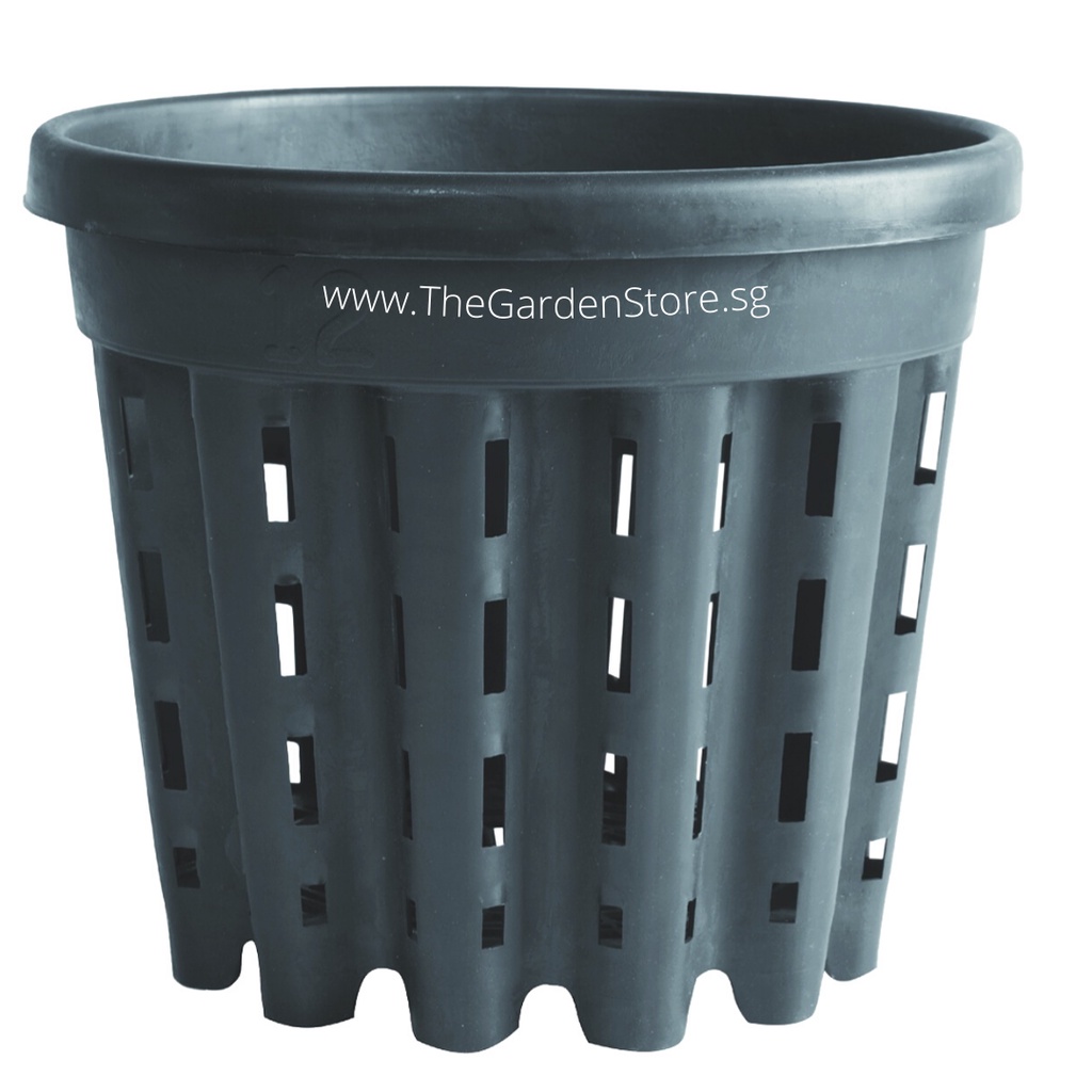 Air Root Pruning Pot Italy AirRootPruning AntiSpiral Root Building ARP ...