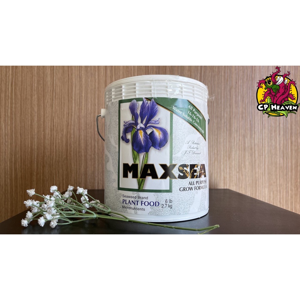 Maxsea fertiliser 16-16-16 (680 grams & 3KG) | Shopee Singapore