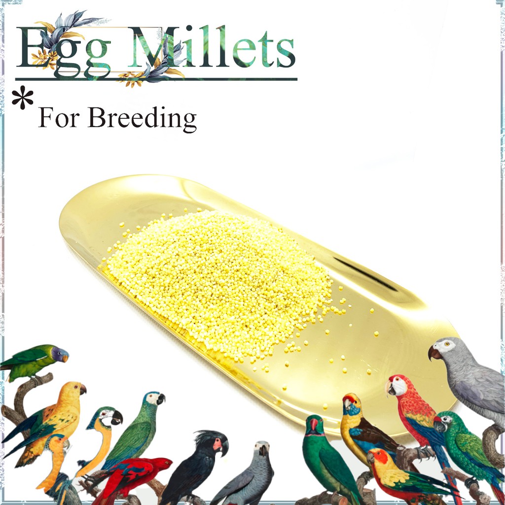 Egg Millets For Parrot | Shopee Singapore