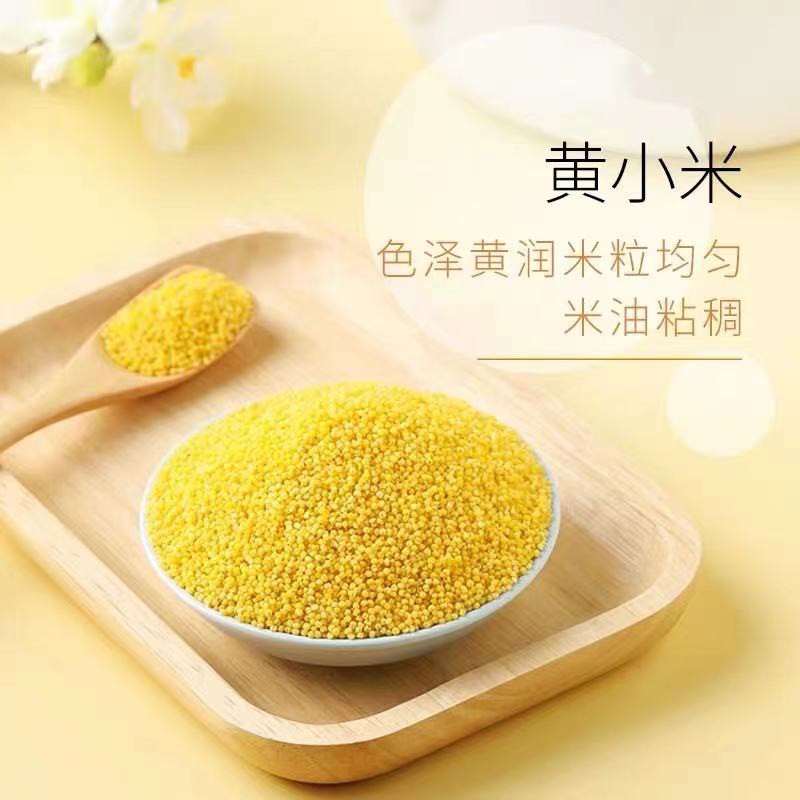 【Ready Stock】【New Arrival】High Quality Yellow Millet Rice (Dong Bei ...