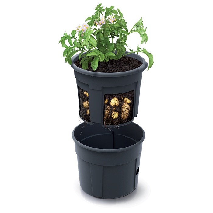 Prosperplast Potato Grower Pot (392x316mm)(Anthracite) | Shopee Singapore