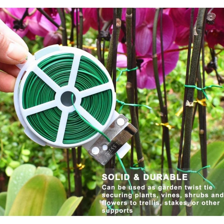 Plants Wire Tie, cables, fruits flowers, garden, home decor Aacc228 ...