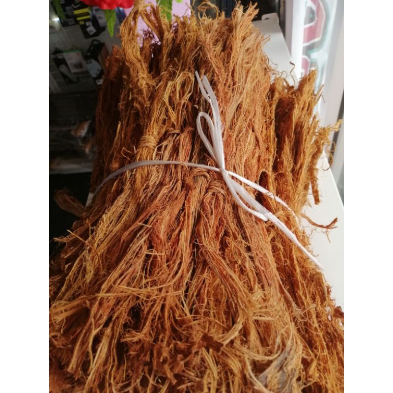 Root Sintok Belluru Climbing (1 Bundle/100 Bunches) Amulet Borong ...