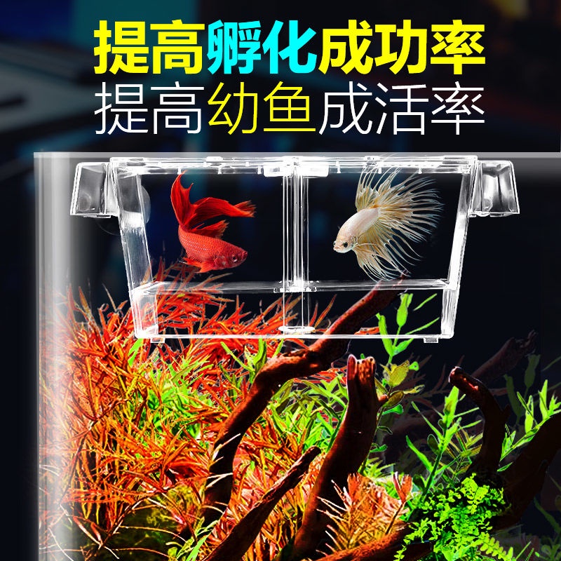 Fish breeding box fish tank fish fry incubator isolation box small fish ...