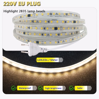 1M 2M 5M 10M 220V Flexible light strip 120 LEDs /M Strip Outdoor ...