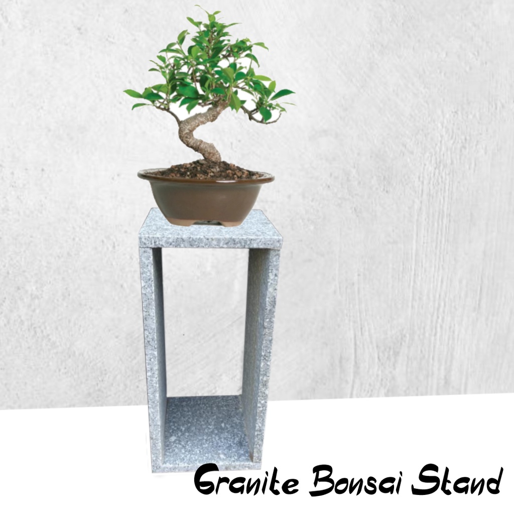 Bonsai Granite Stand (Made from Natural Stones) | Shopee Singapore