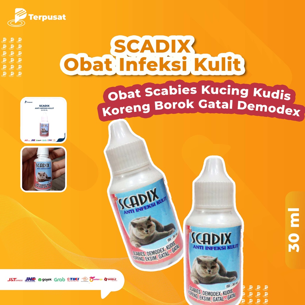 Scadix Cat 30ml Cat Medicine - Cat Scabies Scabies Ulcers Itching ...