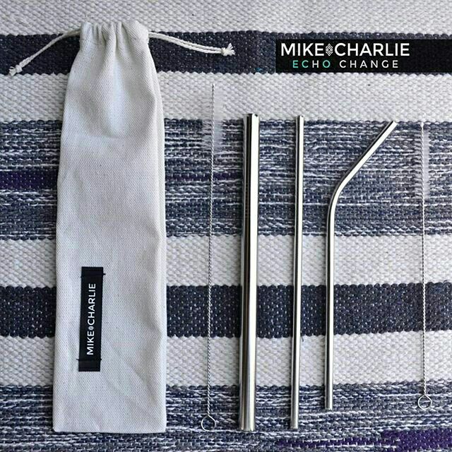 Silver Eco Set 3 (Metal Straw, Stainless Steel Straw) | Shopee Singapore