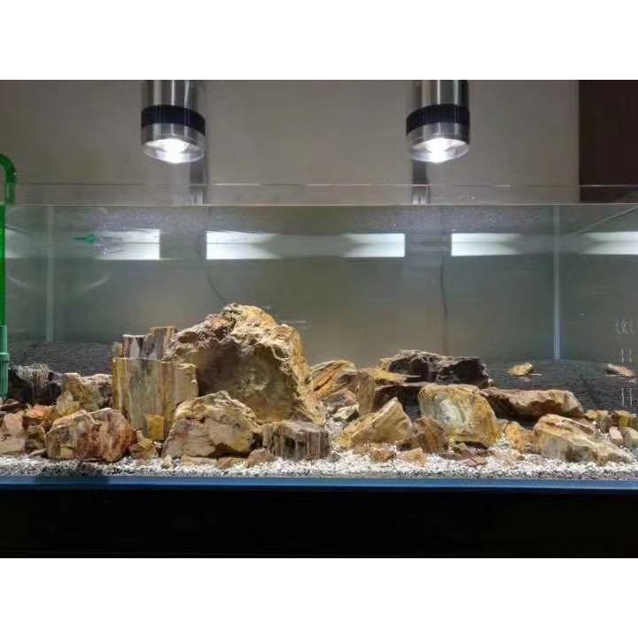Wood Fossil Rock Purified Wood Rock aquarium aquascape fish tank ...