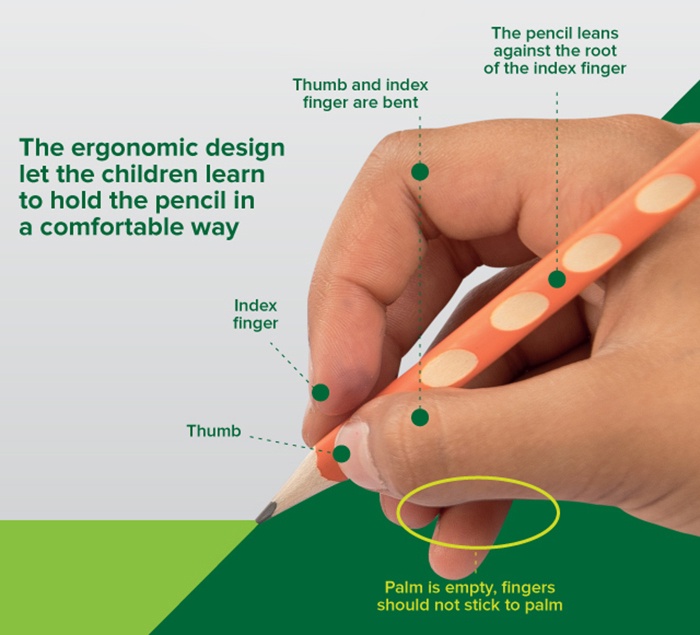 STABILO EASYgraph Handwriting Jumbo-sized Ergonomic 2B Wooden Pencil ...