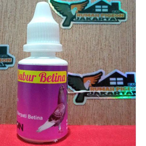 Medication Of Subur Betina Baron Dove Pigeon Rutin Dove Egg No Embrio ...