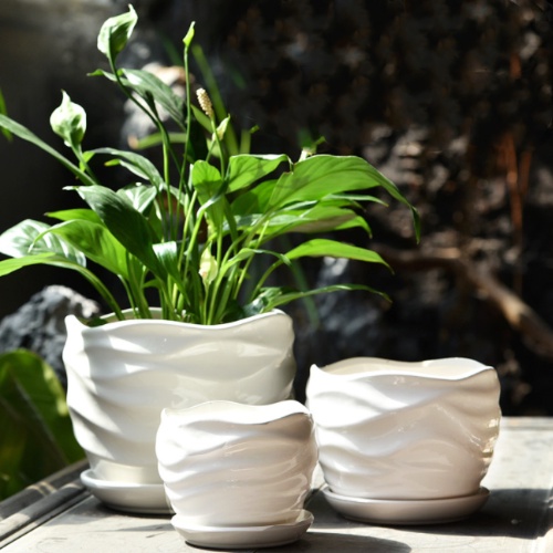 S&XS Bundle Offer Ceramic Pot Minimalist Chinese Style Modern Green Pot ...