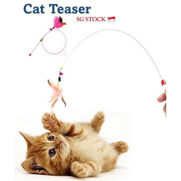 Cat Teaser Cat Toy Feather Wand, Interactive Training Toy Fishing Cat ...