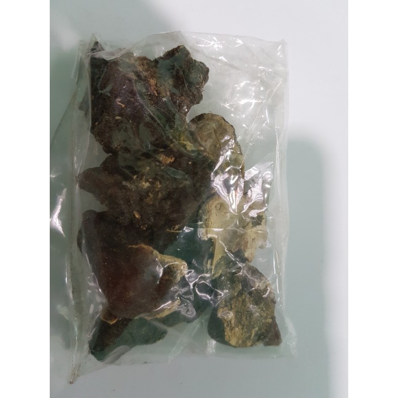 MURUNGAI PISIN | DRUMSTICK TREE RESIN | MORINGA OLEIFIRA PISIN | PISIN ...