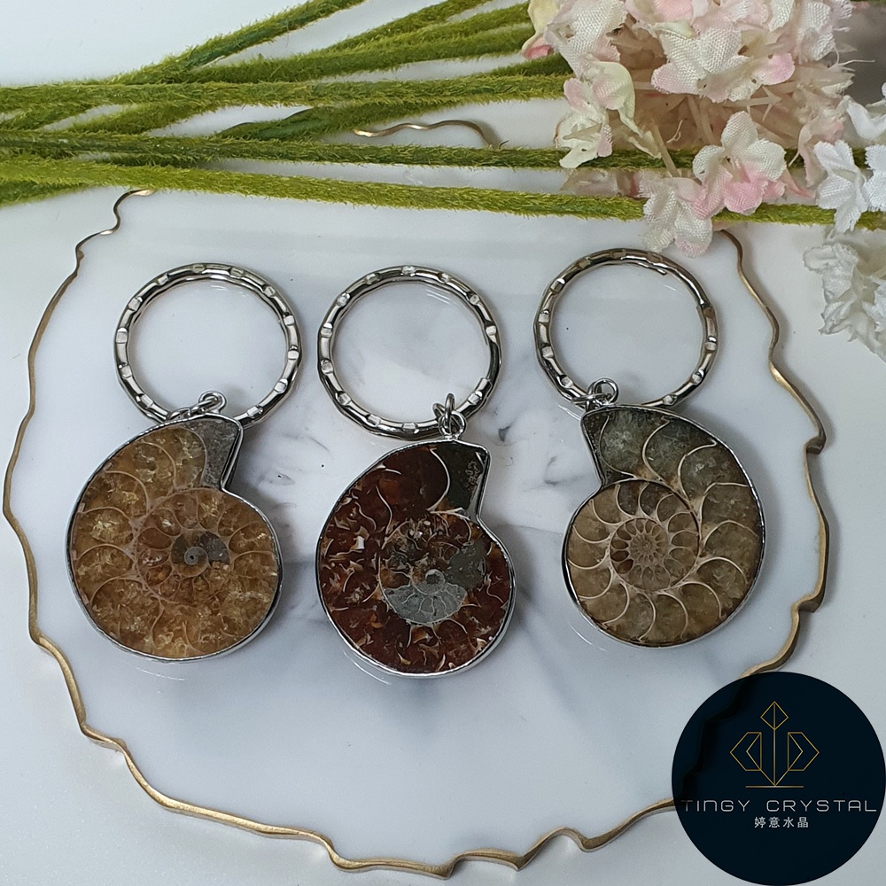 [SG In-Stock]Huat Huat Ammonite Key Chain 斑彩螺钥匙扣 | Shopee Singapore