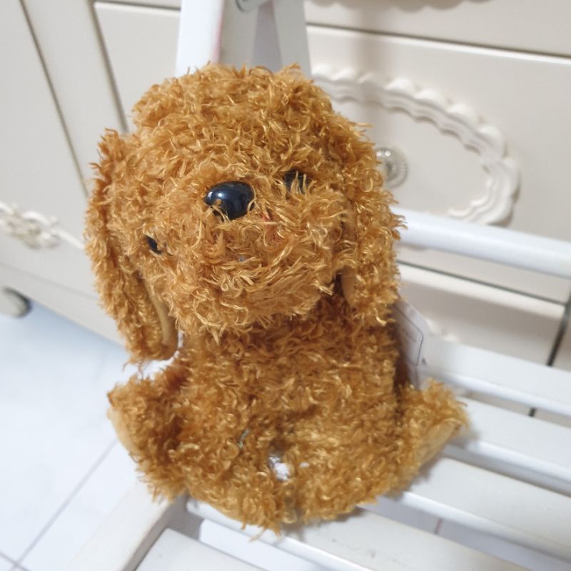 AUTHENTIC Caltoy Segaprize Japan 18cm Puppy Dog Plush | Soft toy Kids ...