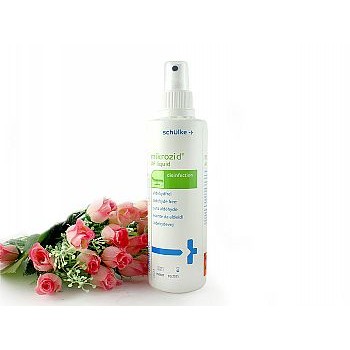 Lcn Instrument Cleaner Spray 250ml | Shopee Singapore