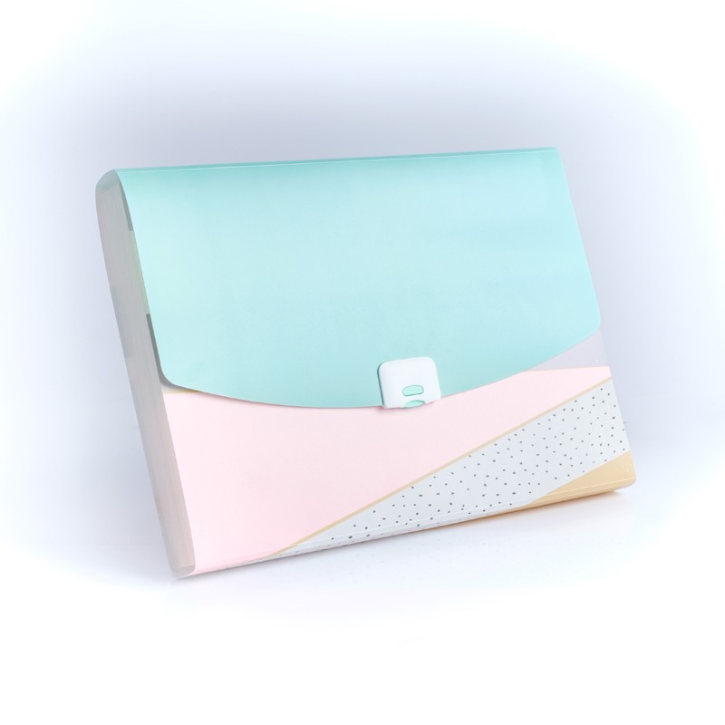 Evo Expanding File - Mixed Pastel FC (Long) | Shopee Singapore