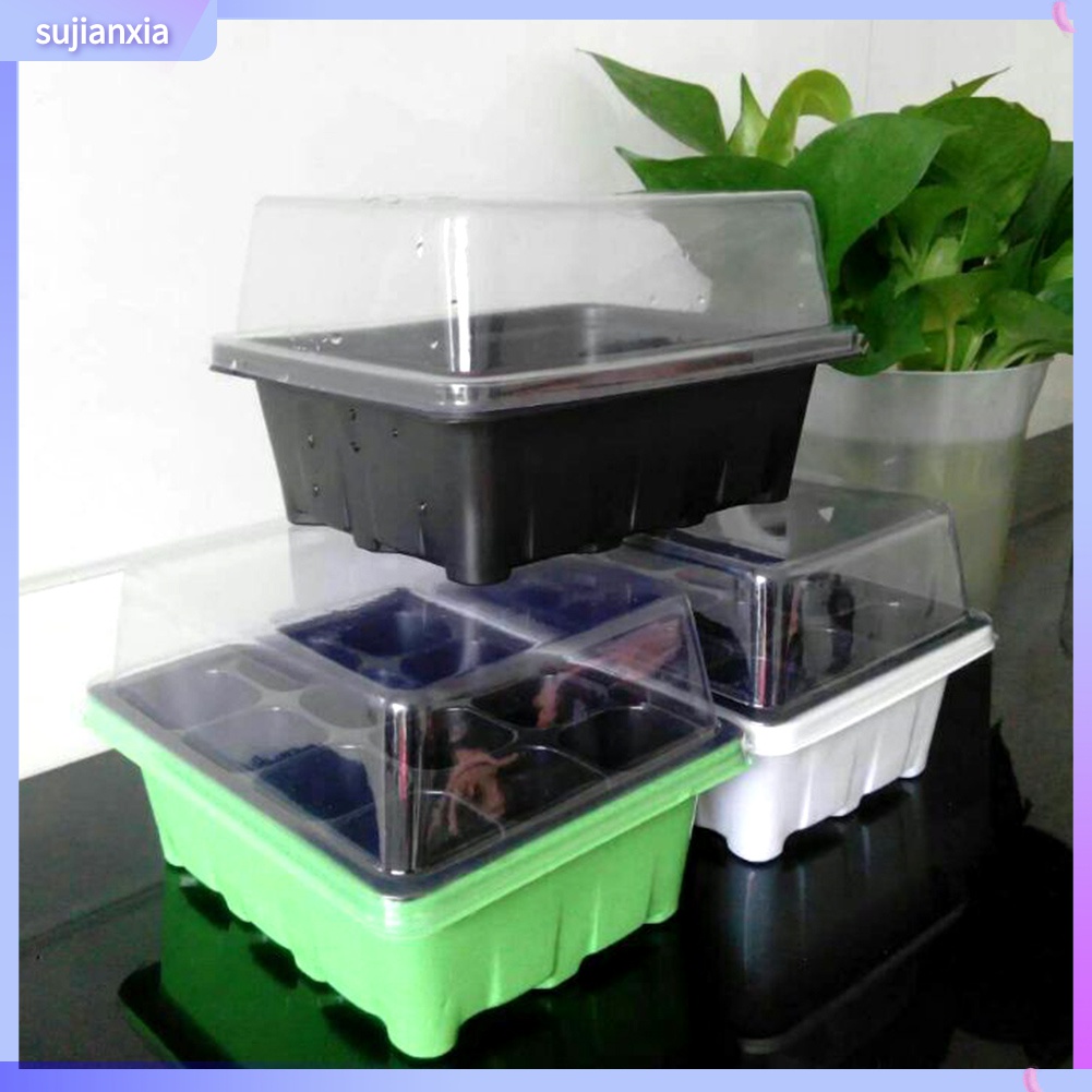 1L 12-Hole Garden Planting Seeds Germination Box Nursery Pot Seedling ...