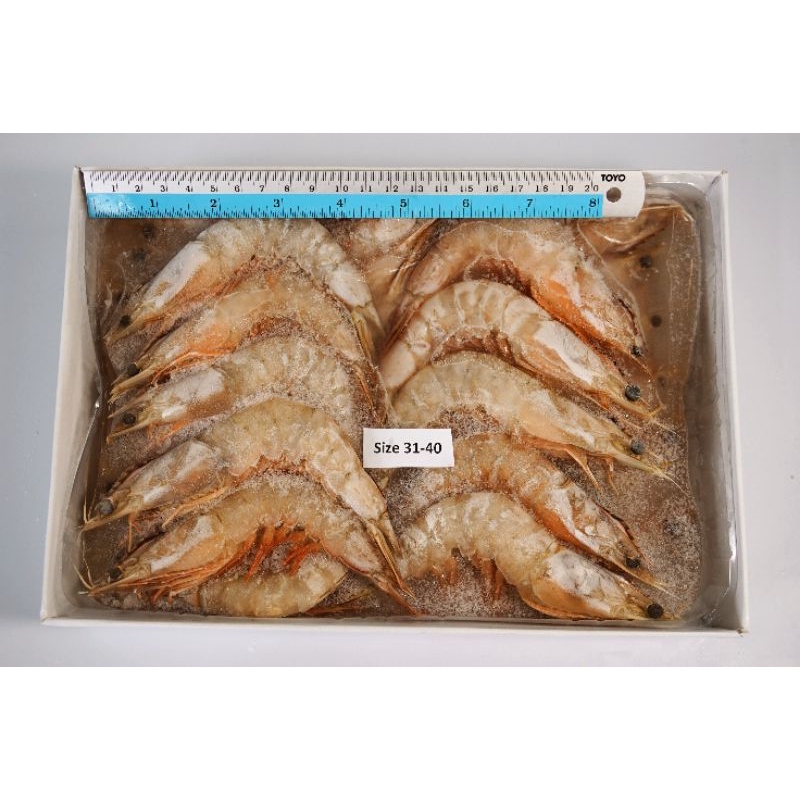 Frozen Ang Kar Prawn 红脚虾 (White Prawn) 1kg Gross 700g Nett | Shopee ...