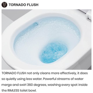 TOTO AVANTE Wall Hung Toilet Bowl CW822 | Shopee Singapore