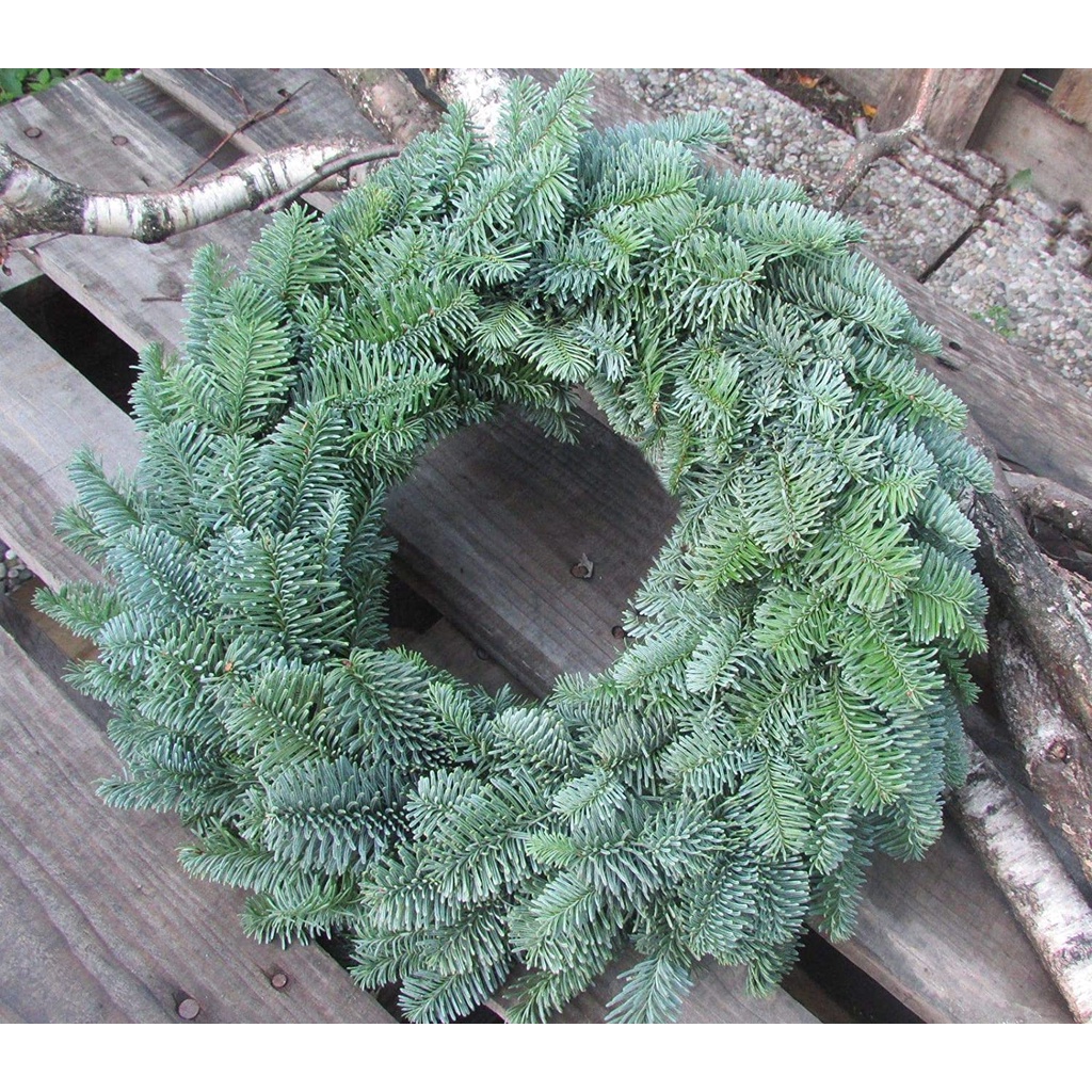 Fresh Christmas Nobilis Wreath Half | Shopee Singapore